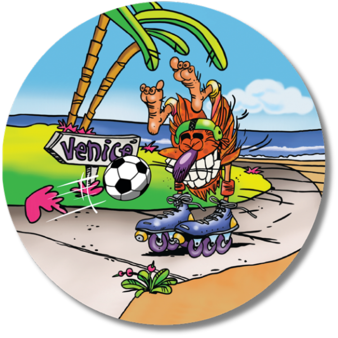 Whats in the box? – The World Pog Federation Official Store