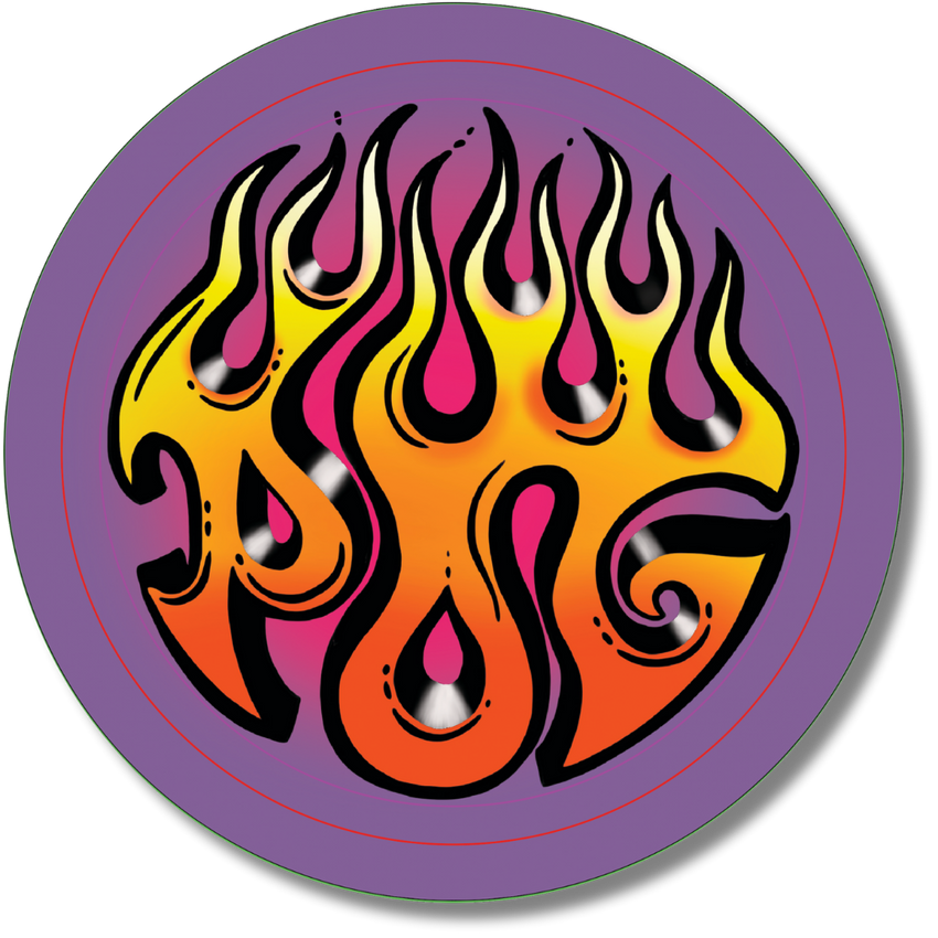 Whats in the box? – The World Pog Federation Official Store