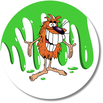 Whats in the box? – The World Pog Federation Official Store